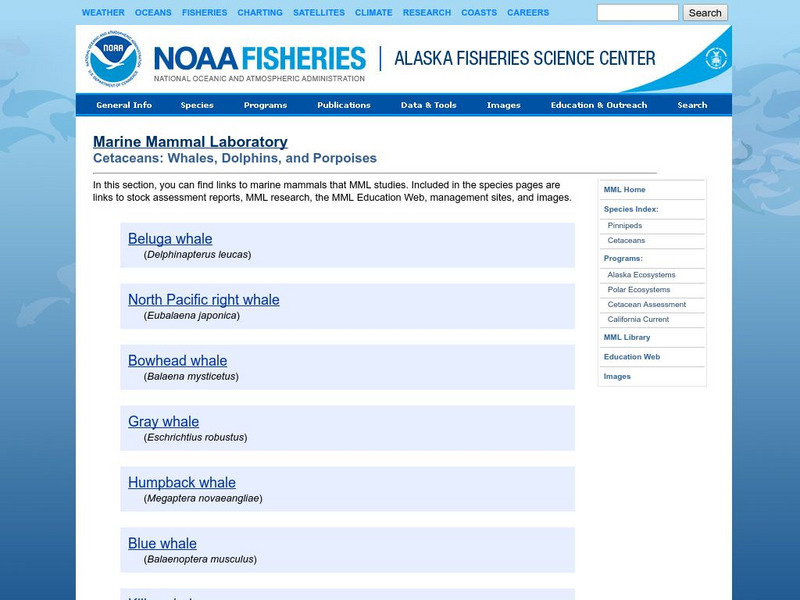 Noaa: Whales, Dolphins, and Porpoises (Order Cetacea) Website for 9th ... Noaa: Whales, Dolphins, and Porpoises (Order Cetacea) Website for 9th ...