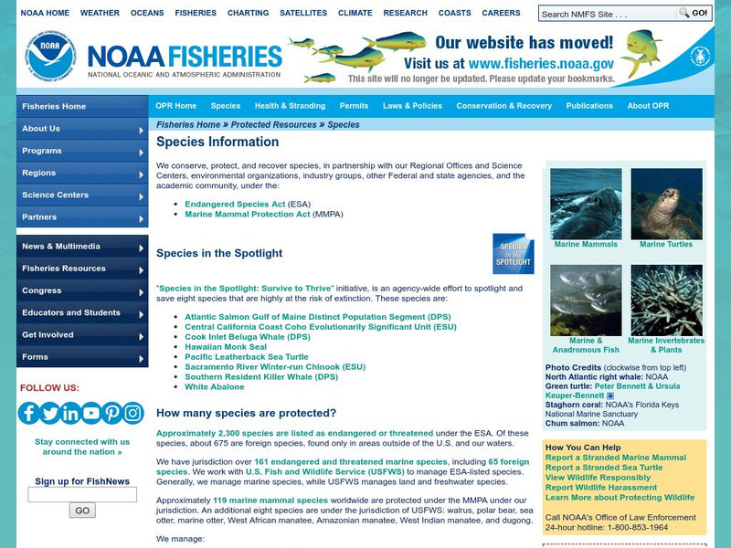 Noaa: Fisheries: Cetaceans: Whales, Dolphins, and Porpoises Handout for ... Noaa: Fisheries: Cetaceans: Whales, Dolphins, and Porpoises Handout for ...