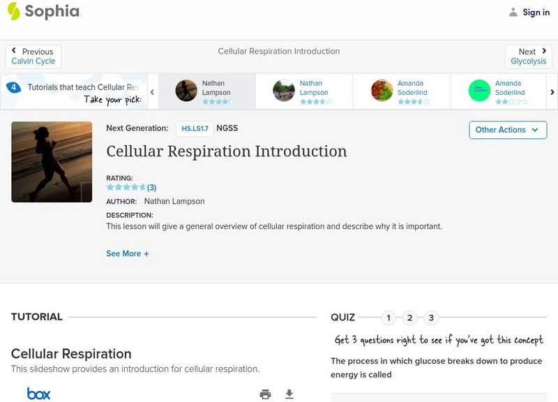 Sophia: Cellular Respiration Introduction: Lesson 1 PPT for 9th - 10th ... Sophia: Cellular Respiration Introduction: Lesson 1 PPT for 9th - 10th ...