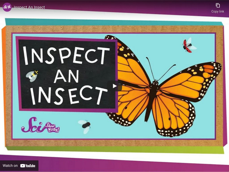 Sci Show Kids: Inspect an Insect Instructional Video for 5th - 8th ... Sci Show Kids: Inspect an Insect Instructional Video for 5th - 8th ...