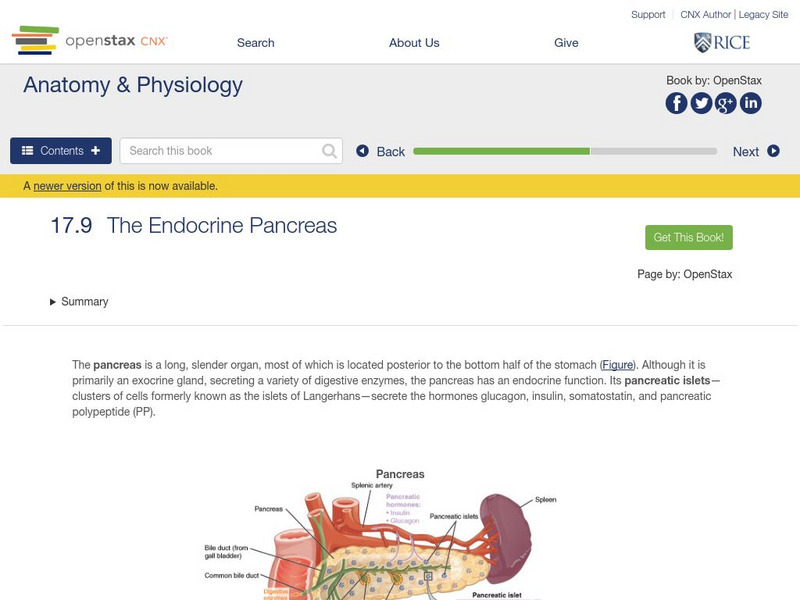 Open Stax Anatomy And Physiology The Endocrine Pancreas Unit Plan For 9th 10th Grade Lesson