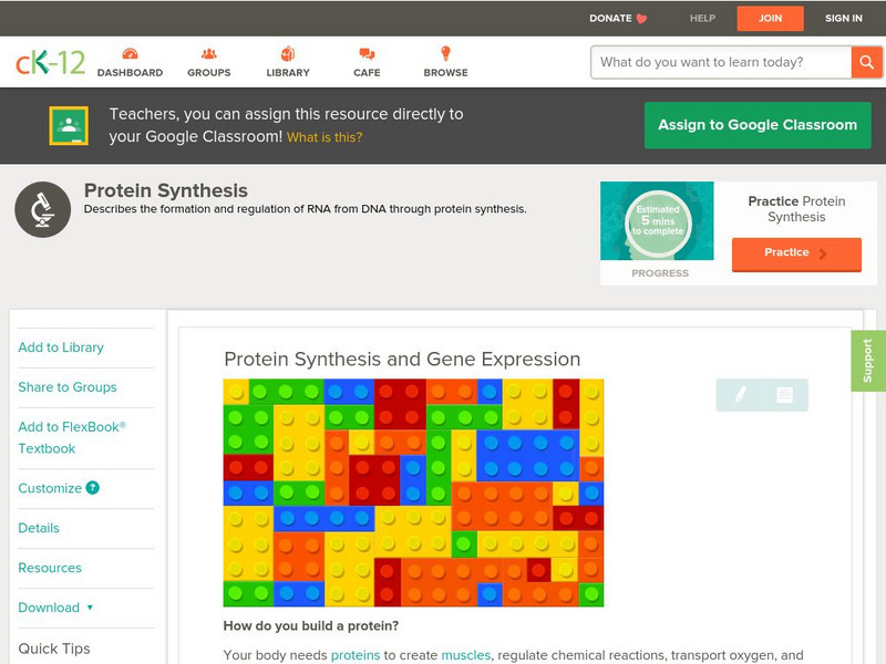 Ck 12: Life Science: Protein Synthesis and Gene Expression Unit Plan ... Ck 12: Life Science: Protein Synthesis and Gene Expression Unit Plan ...