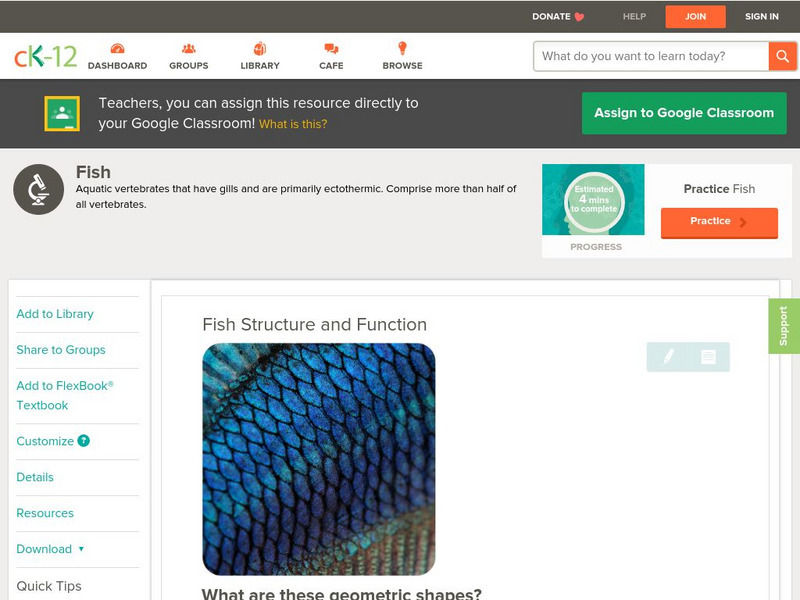 ck-12-biology-fish-structure-and-function-unit-plan-for-9th-10th