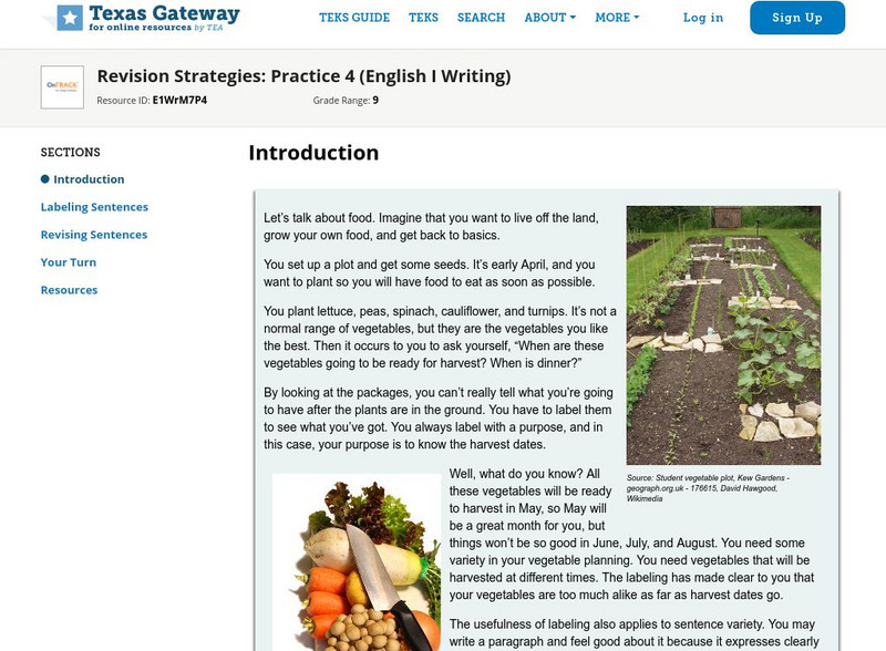 Texas Gateway: Revision Strategies: Practice 4 (English I Writing) Unit ... Texas Gateway: Revision Strategies: Practice 4 (English I Writing) Unit ...