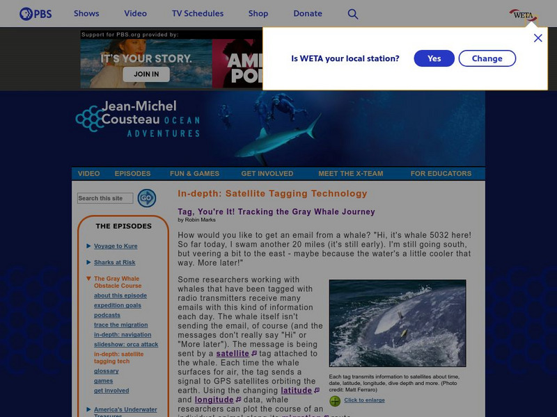 Pbs: Ocean Adventures: Satellite Tagging Technology Handout for 9th ... Pbs: Ocean Adventures: Satellite Tagging Technology Handout for 9th ...