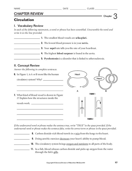 Circulation Worksheet For 9th 12th Grade Lesson Planet circulation-worksheet-for-9th-12th-grade-lesson-planet