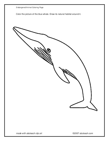 Endangered Animal Coloring Page Worksheet For Pre K 2nd Grade endangered-animal-coloring-page-worksheet-for-pre-k-2nd-grade