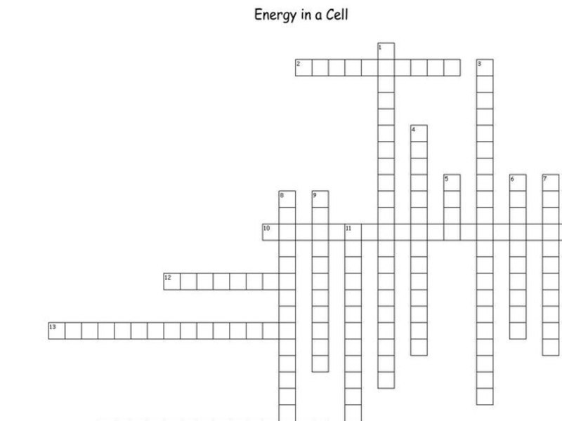 Energy In A Cell Worksheet For 8th 11th Grade Lesson Planet energy-in-a-cell-worksheet-for-8th-11th-grade-lesson-planet