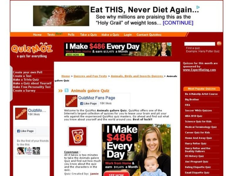 Animals Galore Quiz Interactive For 6th 8th Grade Lesson Planet animals-galore-quiz-interactive-for-6th-8th-grade-lesson-planet