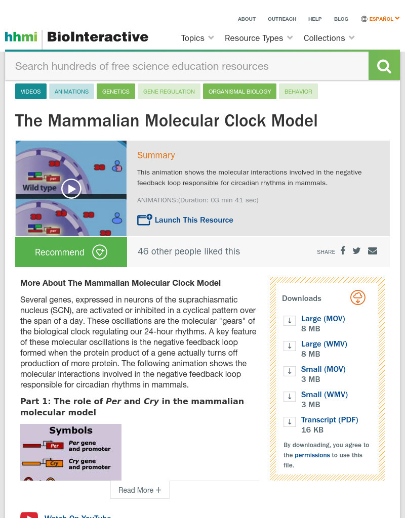 The Mammalian Molecular Clock Model Instructional Video For 9th 12th Grade Lesson Planet 
