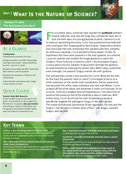Nature Of Science Lesson Plan
